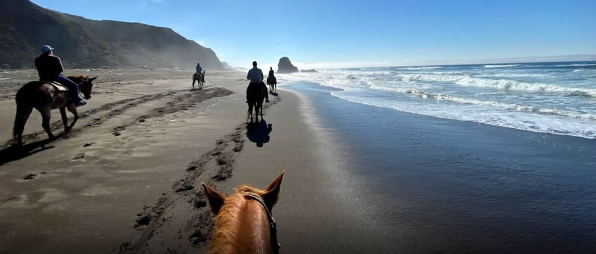 Horseback Riding Gallery Ross Ranch | Mendocino Coast Horseback Rides