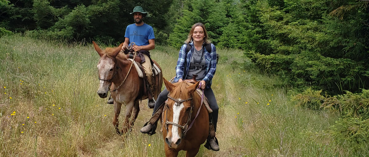 Mendocino Coast Redwood Forest Horseback Riding Tours | Ross Ranch